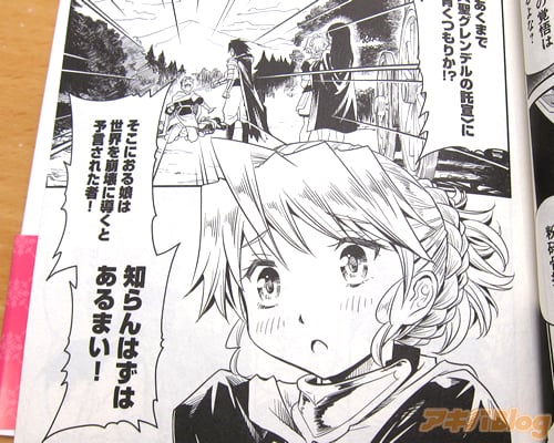 本編完結から14年 the ORIGIN Project第3弾「スクラップド・プリンセス」1巻 : アキバBlog